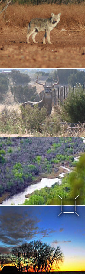 Spike Box land and Cattle About Us